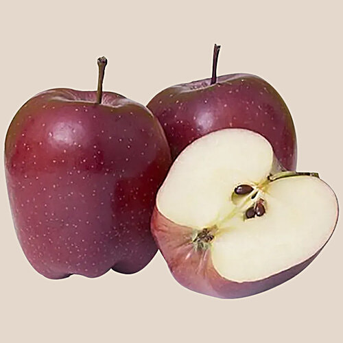 Buy fresho! Apple Red Delicious - Premium, Institutional Online at Best ...