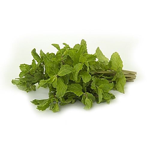 Buy fresho! Mint Leaves Premium, Institutional Online at Best Price of ...
