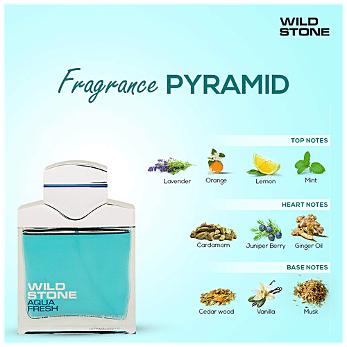 Buy Wild Stone Aqua Fresh Eau De Parfum Online at Best Price - bigbasket