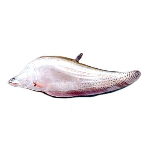 Buy fresho! Foloi Fish - Whole Cleaned Online at Best Price of Rs 199 ...