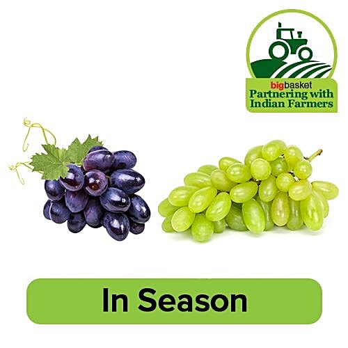 Buy fresho! Grapes - Assorted Seedless, Bi Colour, Green & Black Online ...