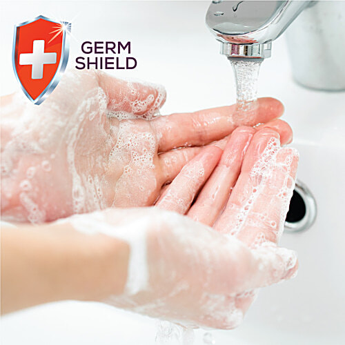 Buy Santoor Gentle Handwash - Classic, with natural goodness of ...