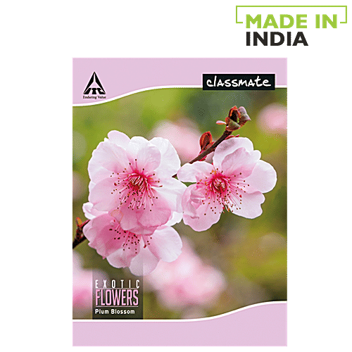 Buy Classmate Notebook King Size Four Line Ruled 172 Pages Online At ...