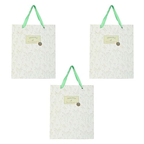Buy DP Gift/Paper Carry Bag - Medium, Off White BB 396 M Online at Best ...