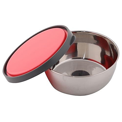 Buy Homio Stainless Steel Food Container/ Tiffin Box - Assorted color ...