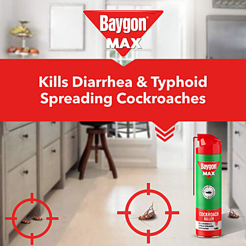 Buy Baygon Max Cockroach Killer Spray - Deep Reach Maxi Wand Online at ...