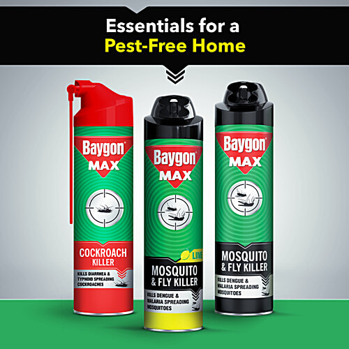 Buy Baygon Max Mosquito & Fly Killer Spray - Lime Fragrance, Double ...
