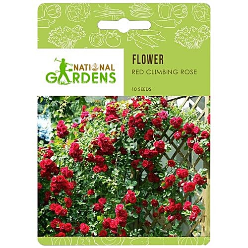 Buy National Gardens Red Climbing Rose Flower Seeds Online at Best ...