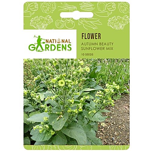 Buy National Gardens Aztec Tobacco Seeds Online at Best Price of Rs 199 ...