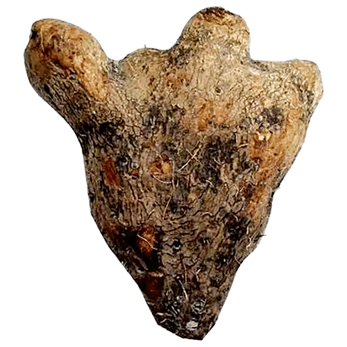 Buy fresho! Chupri Alu Online at Best Price of Rs 20.82 - bigbasket