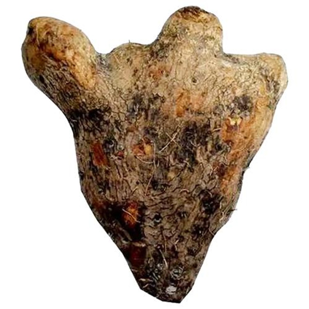 Buy Fresho Chupri Alu Online at Best Price of Rs null - bigbasket