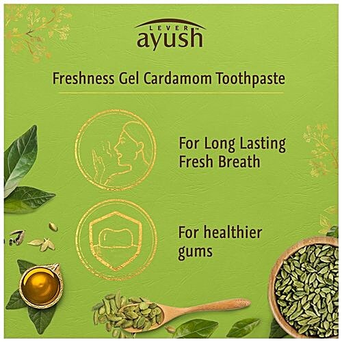Buy Lever Ayush Freshness Gel Cardamom Toothpaste Online at Best Price ...