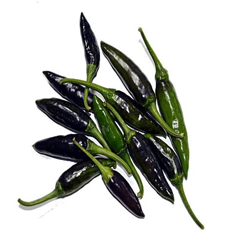 Buy fresho! Chilli Bullet - Black Online at Best Price of Rs 117.64 ...