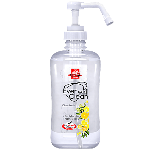 Buy Ever clean All-In-One Sanitizer - Citrus Fresh Online at Best Price ...