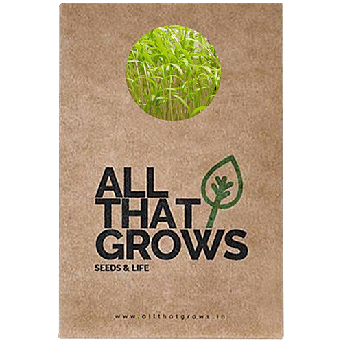Buy Wonderland AllThatGrows Yellow Carrot Microgreens Seeds Online at ...