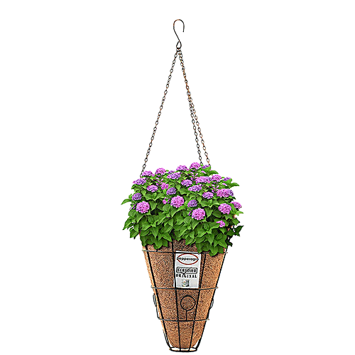 Buy PepperAgro Coir Planter Coco Fiber Flower Pots - Cone Shape, 9 inch ...