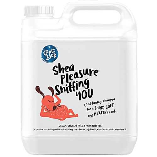 Buy Captain Zack Shea Pleasure Sniffing You Anti-Fungal Free Dog ...