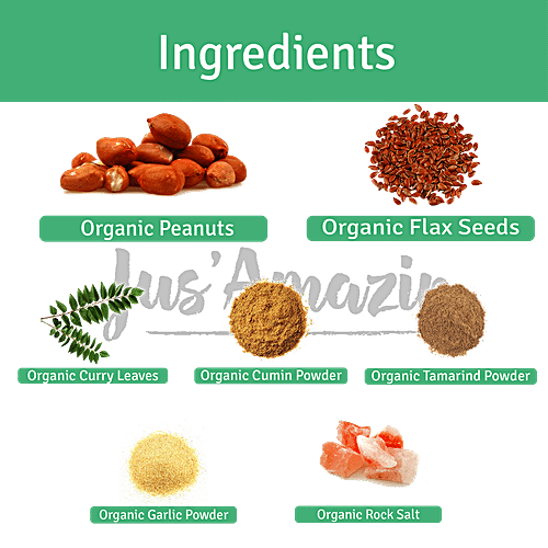 Buy Jus Amazin Organic Peanut Flax Chutney - Curry N Cumin Flavour ...