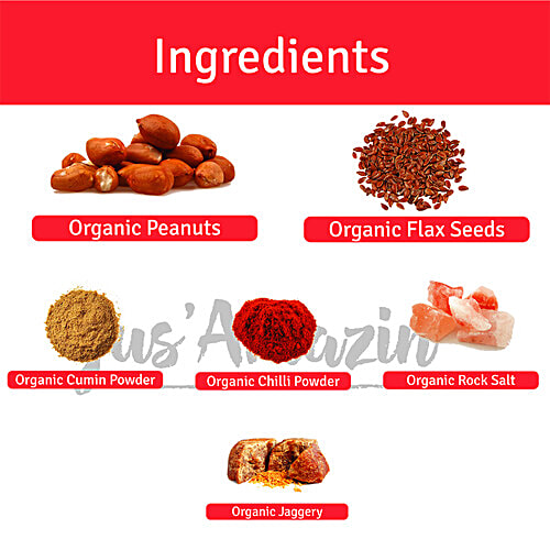 Buy Jus Amazin Organic Peanut Flax Chutney - Spicy Podi Flavour Online ...