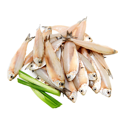 Buy fresho! Anchovy Whole - B Online at Best Price of Rs 141 - bigbasket