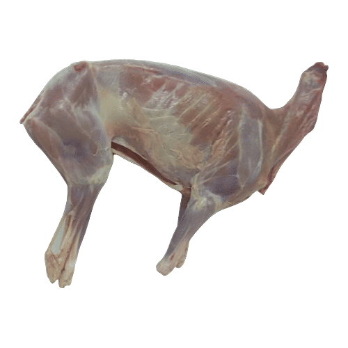 Buy fresho! Mutton Carcass - B Online at Best Price of Rs 700 - bigbasket