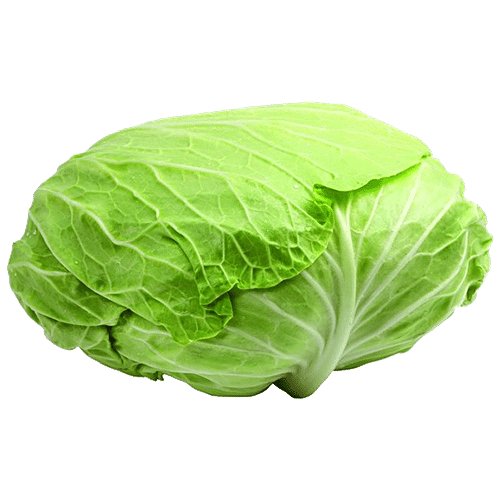 Buy fresho! Cabbage - Flat Online at Best Price of Rs 82.19 - bigbasket