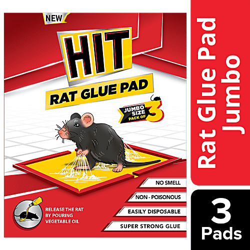 Buy HIT Rat/Mouse Glue Pad - No Smell, Non-Poisonous, Jumbo Size Online ...