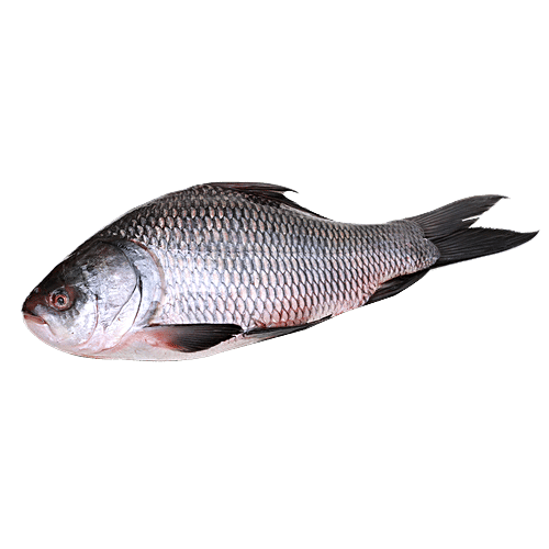 Buy fresho! Catla Whole With Head & Tail - Cut & Cleaned Online at Best ...