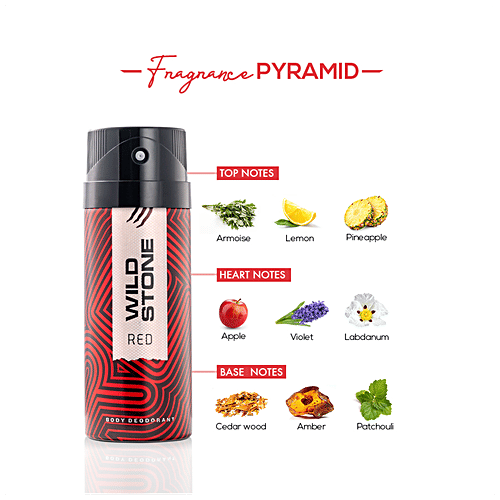 Buy Wild Stone Red Deodorant Spray Online at Best Price of Rs 193.50 ...