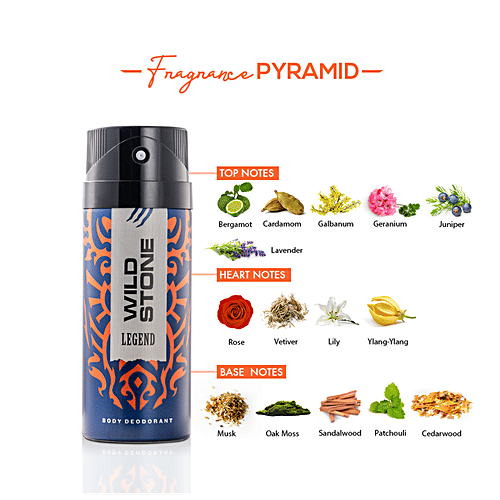 Buy Wild Stone Legend Deodorant Online at Best Price of Rs 220.50 ...