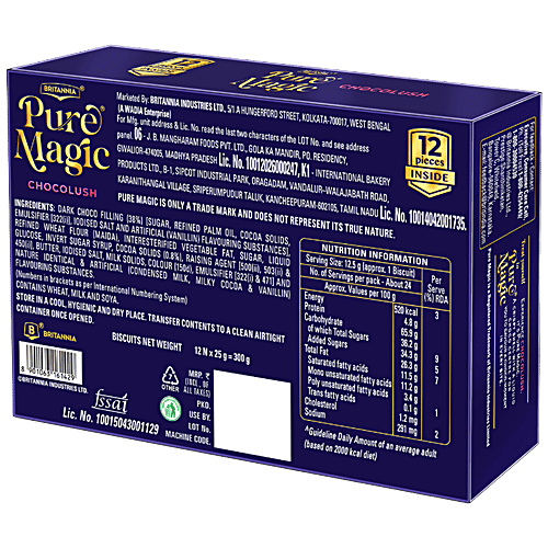 Buy Britannia Pure Magic Chocolush Choco Filled Biscuits 300 g Box ...