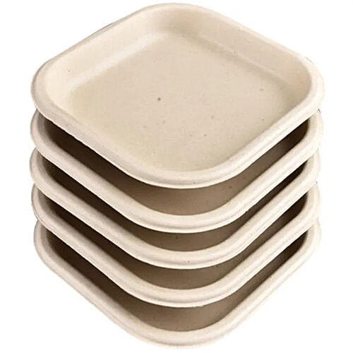 Buy Chuk Disposable Snack Plate - 18 cm Online at Best Price of Rs 119 ...
