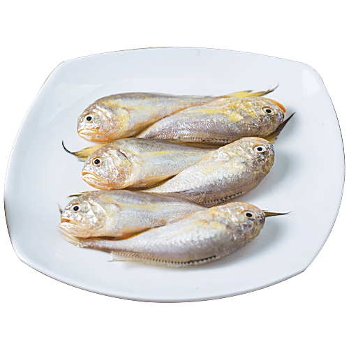 Buy fresho! Bele Fish Whole - B Online at Best Price of Rs 450 - bigbasket