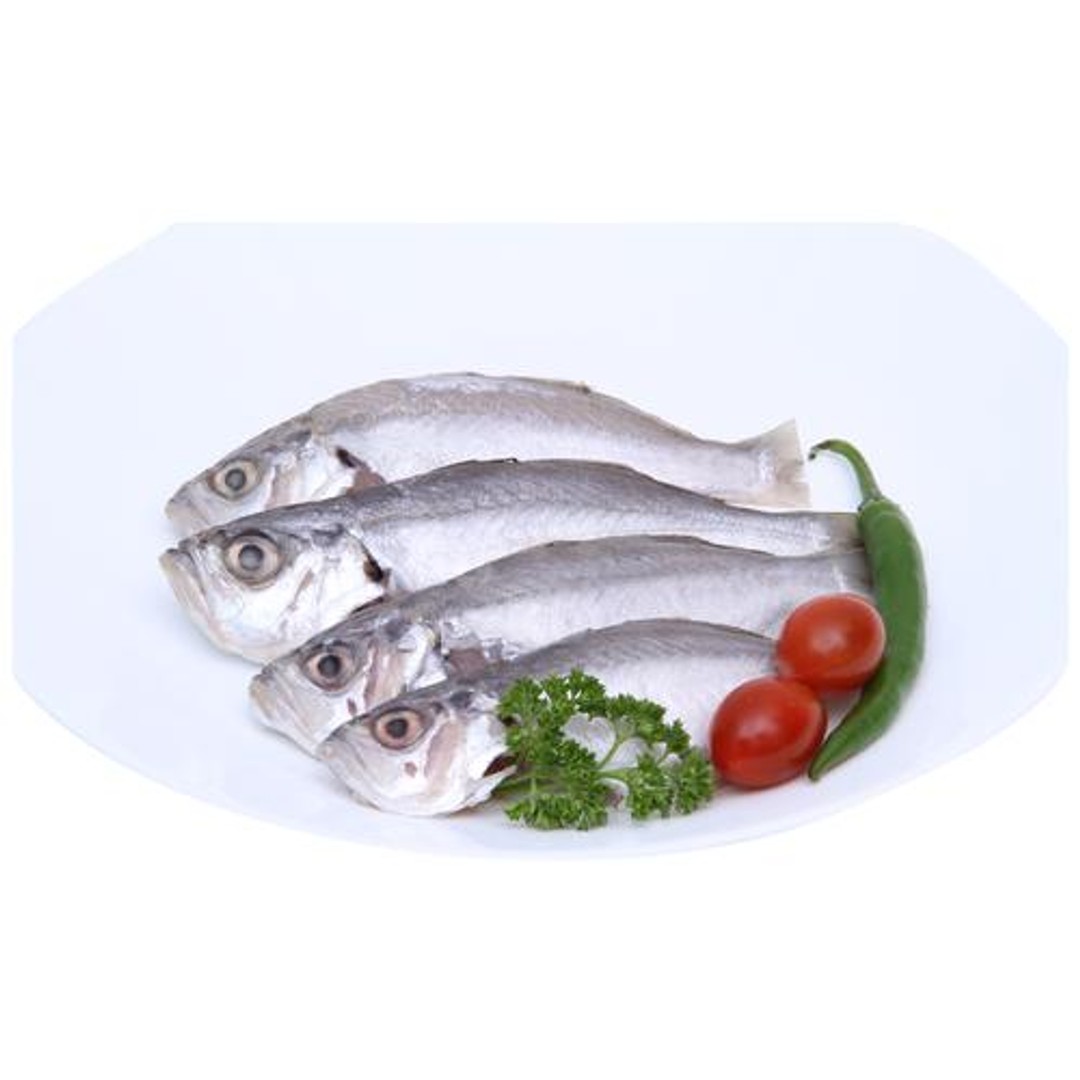 Buy Fresho Japani Puti Fish Whole-B Online at Best Price of Rs 2600 ...