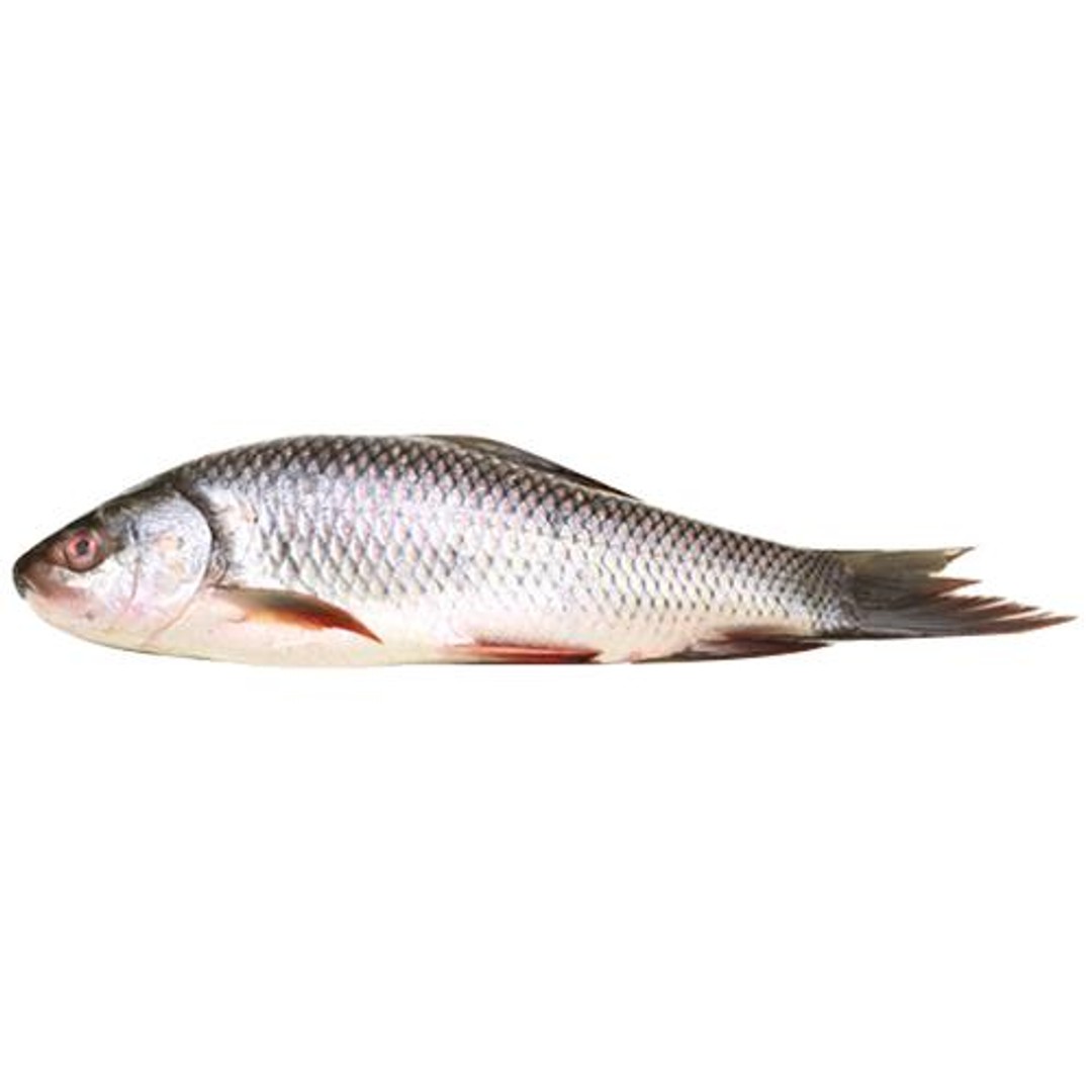 Buy Fresho Rohu Fish Large-B Online at Best Price of Rs null - bigbasket