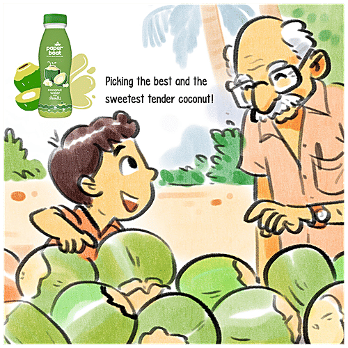 Buy Paper Boat Coconut Water With Chunks Online at Best Price of Rs 65 ...