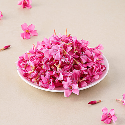 Buy Hoovu Fresh kanagale/Oleander Online at Best Price of Rs 196.76 ...