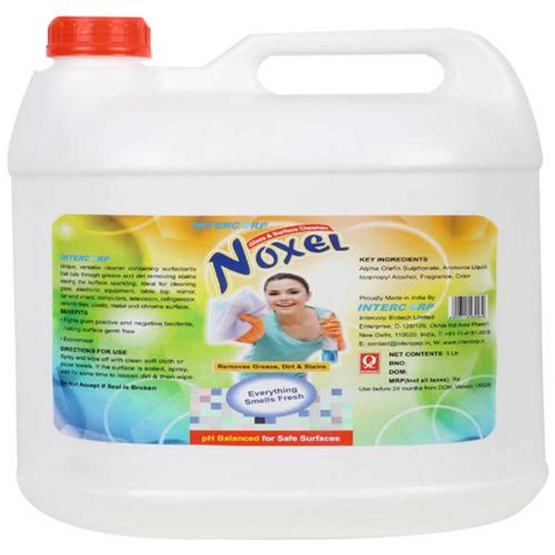 Buy Intercorp Noxel Glass & Surface Cleaner Sprayer - Jumbo Saver Pack ...