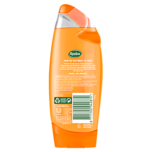 Buy Radox Shower Gel-feel Revived with Lemon Grass, Mandrin & Natural ...
