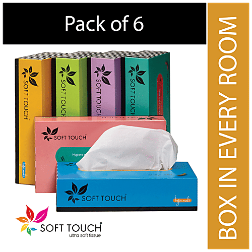 Buy Soft Touch Informal - Ultra Soft Facial Tissue Box Online at Best ...