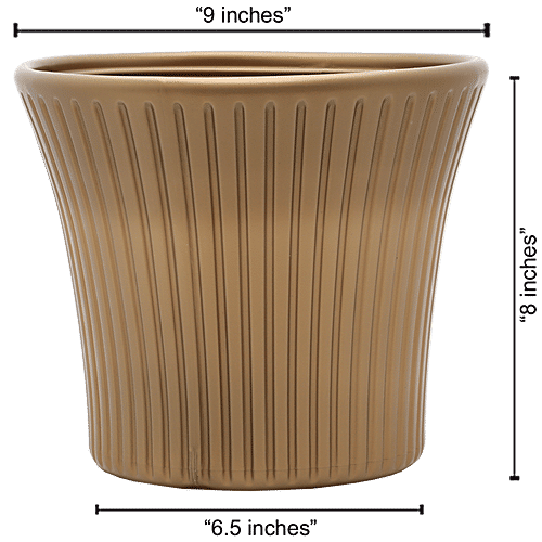 Buy Natures Plus Sunrise Pot - 9 Inch, Gold Online at Best Price of Rs ...