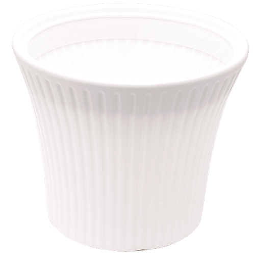 Buy Natures Plus Sunrise Pot - 12 Inch, White Online at Best Price of ...