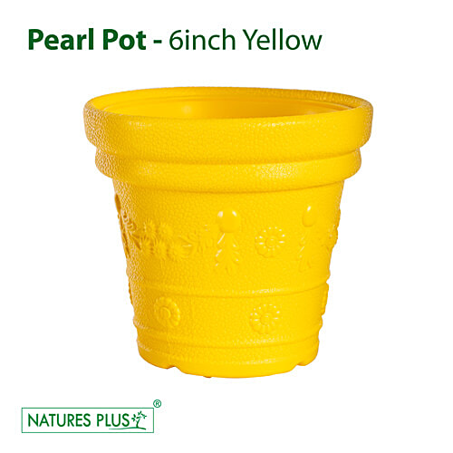 Buy NATURES PLUS Pearl Pot - 15 cm , Yellow Online at Best Price of Rs ...