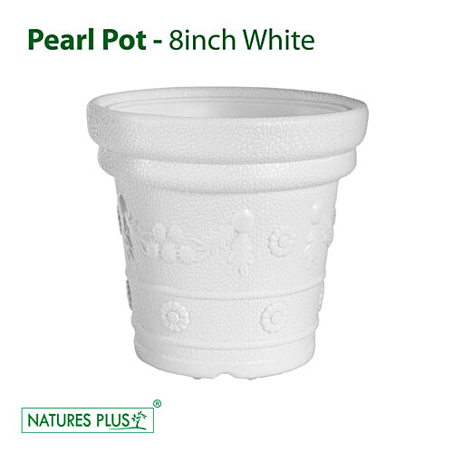 Buy NATURES PLUS Pearl Pot - 20 cm , White Online at Best Price of Rs ...