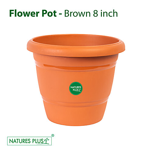 Buy NATURES PLUS Flower Pot 80 Online at Best Price of Rs 59 - bigbasket