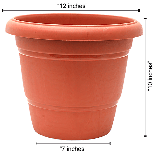 Buy Natures Plus Flower Pot 120 Online at Best Price of Rs 132 - bigbasket