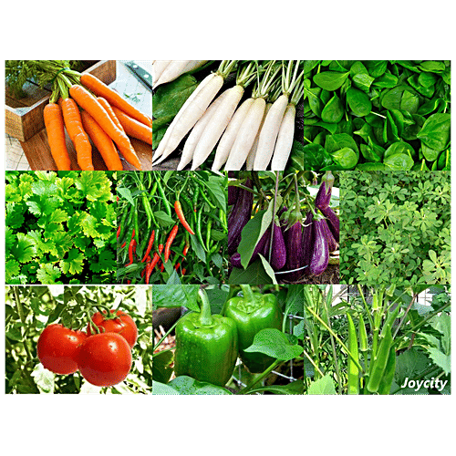 Buy Joycity Vegetable Seeds Combo - 10 Varieties Online at Best Price of Rs 499 - bigbasket