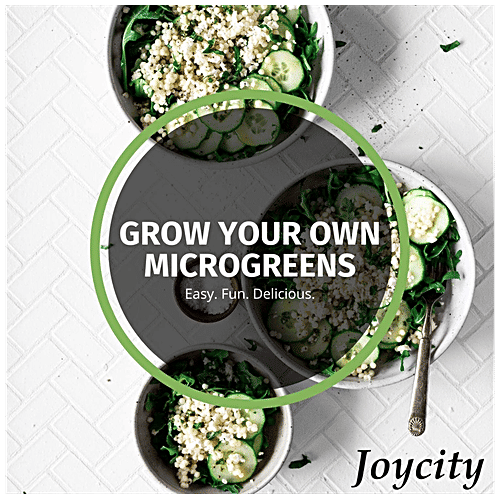 Buy Joycity Baby Spinach Microgreens Online at Best Price - bigbasket