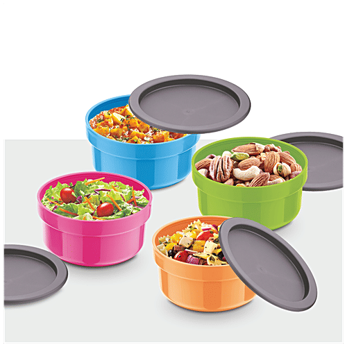 Buy Asian Dynamic Leakproof Containers Online at Best Price of Rs 129 ...