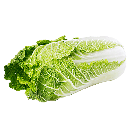 Buy fresho! Chinese Cabbage - Hydroponically Grown Online at Best Price ...